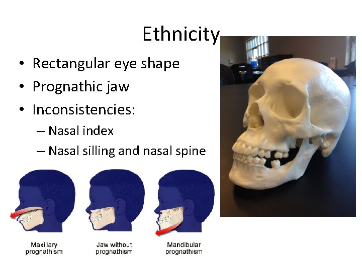 Formal Case Study B The Story Rachel Ella