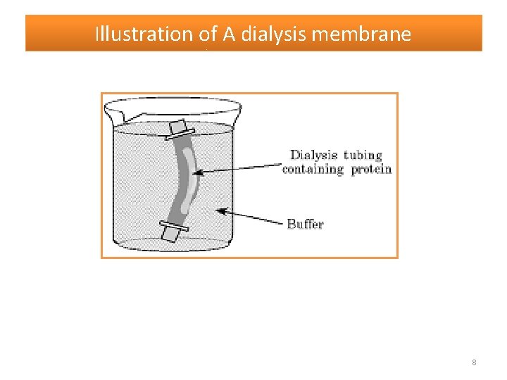 Lab Activity 12 Purification of LDH Part II