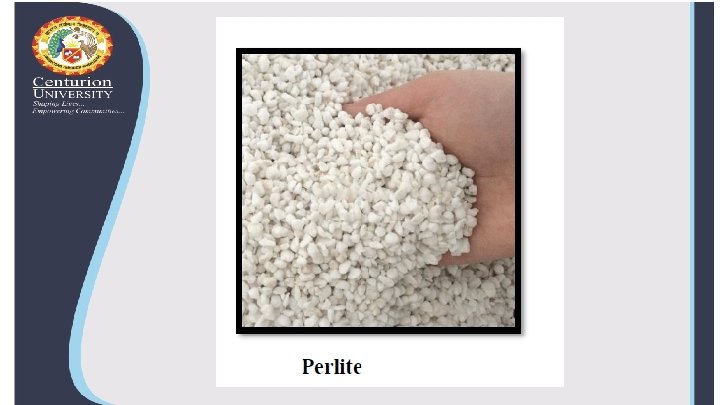 Center for Smart Agriculture Protected cultivation of vegetable