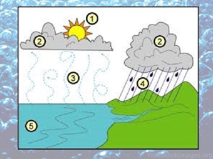 The Water Cycle The Sun The sun provides
