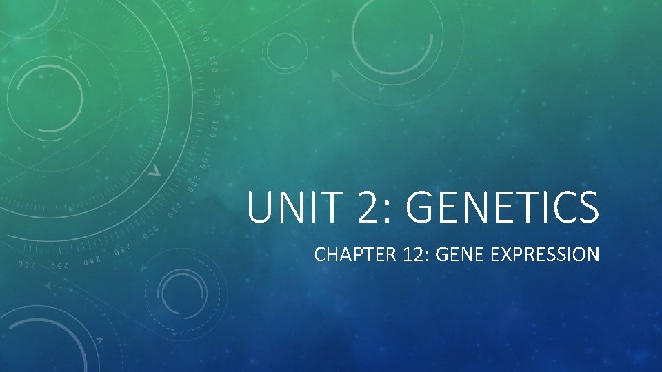 UNIT 2 GENETICS CHAPTER 12 GENE EXPRESSION CONTROL