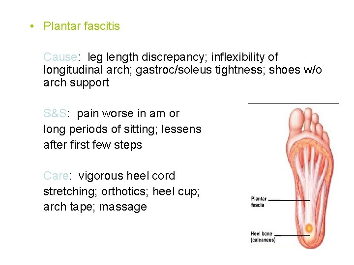Lower Leg and Foot Injuries Recognition and Management