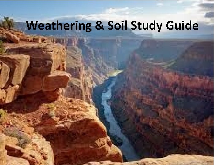 Weathering Soil Study Guide Adding mulch to a