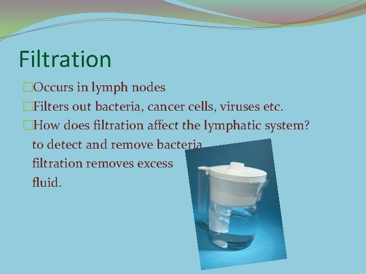 Lymphatic System Health Science I Structures of Lymphatic