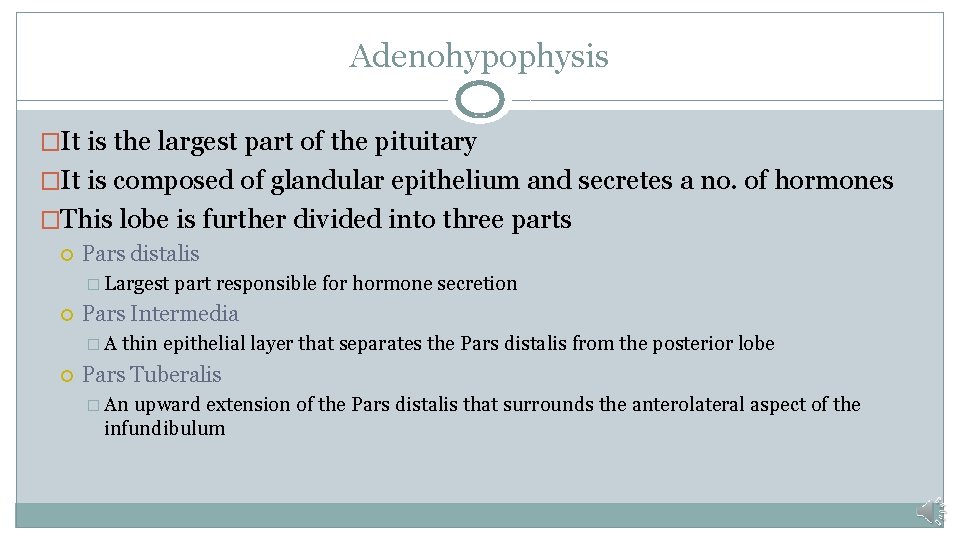 Pituitary Gland By Dr Shashi Prabha HOD Zoology