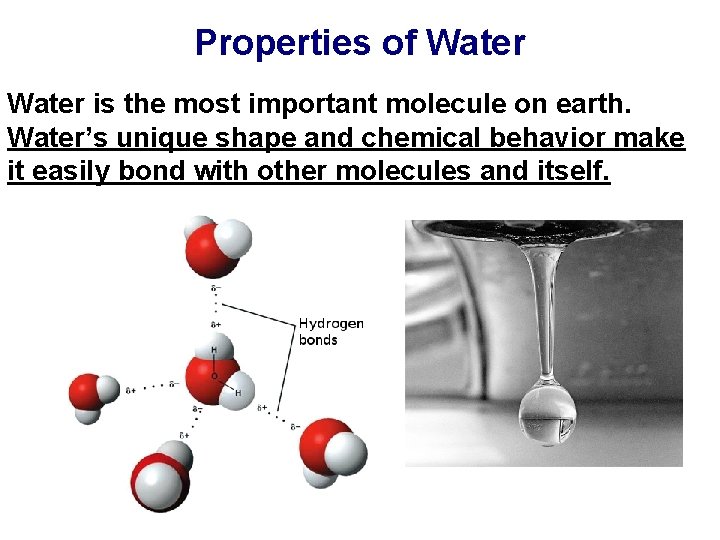 Properties of Water is the most important molecule