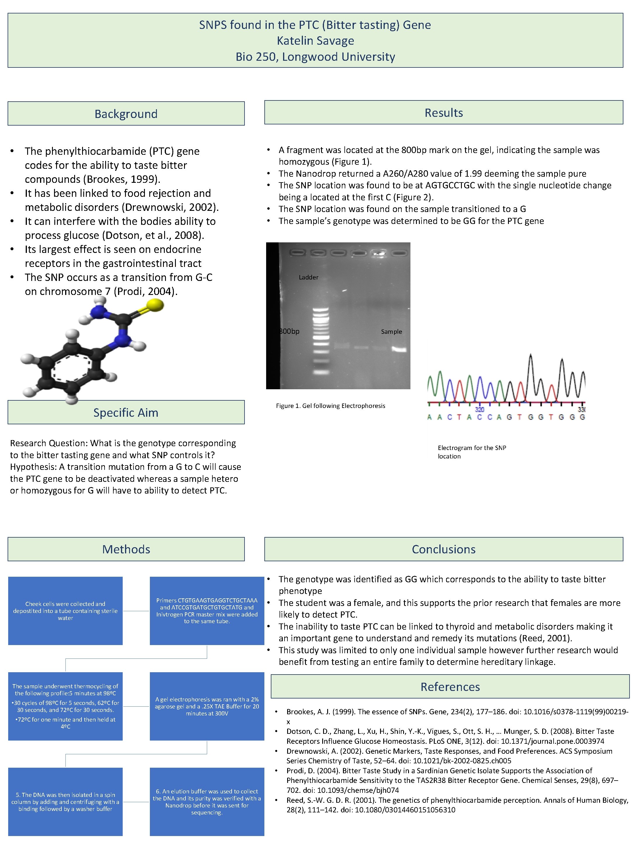 SNPS found in the PTC Bitter tasting Gene