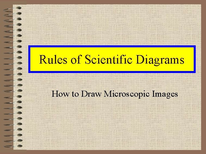 Rules of Scientific Diagrams How to Draw Microscopic
