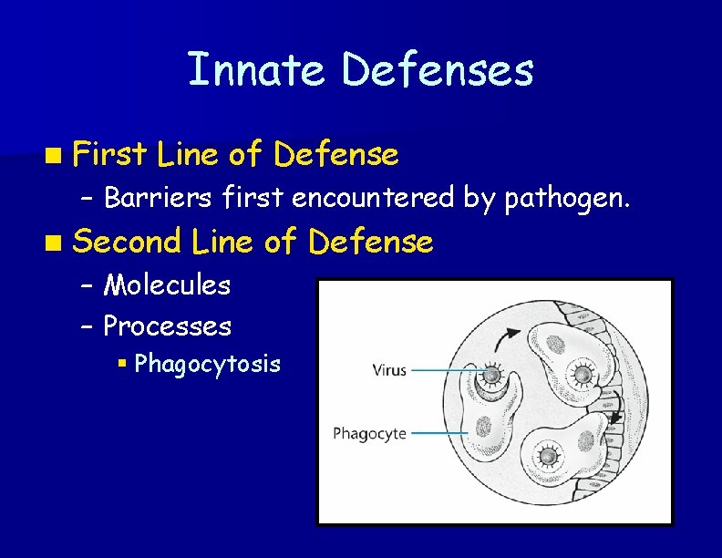 Chapter 8 Blood and Body Defenses Spelling Words