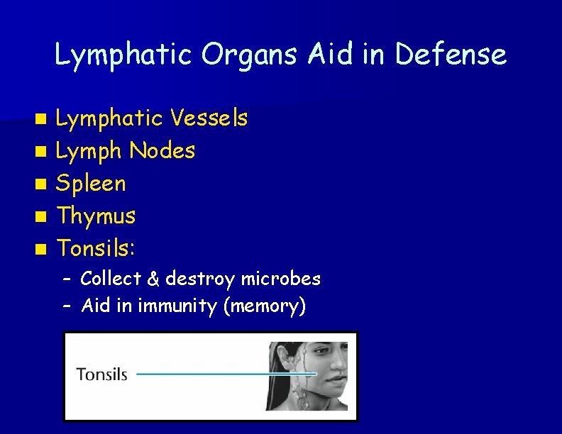 Chapter 8 Blood and Body Defenses Spelling Words
