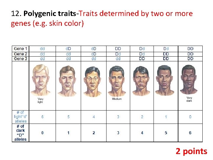 GRADING RUBRIC Worksheet Unit 6 Test Review HONORS