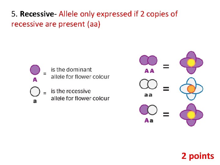 GRADING RUBRIC Worksheet Unit 6 Test Review HONORS