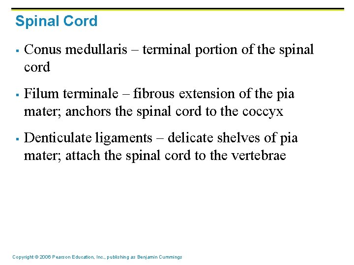Power Point Lecture Slides prepared by Vince Austin