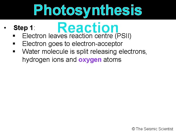 Photosynthesis in Organic Compounds The Seismic Scientist 5