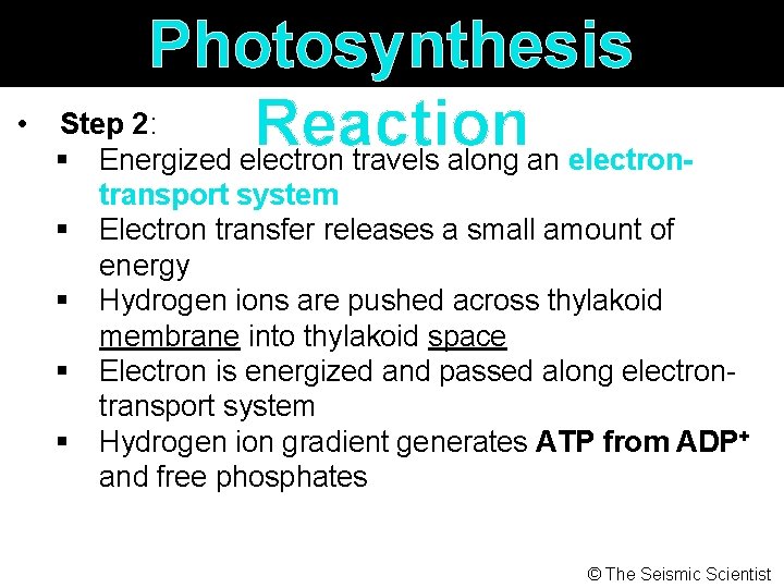 Photosynthesis in Organic Compounds The Seismic Scientist 5