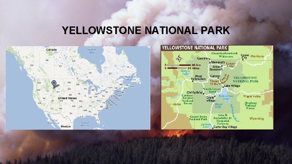 THE YELLOWSTONE FIRES OF 1988 Leah Fischer Brandie