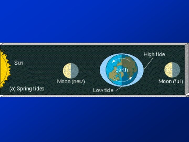 Tides Tides The rise and fall in sea