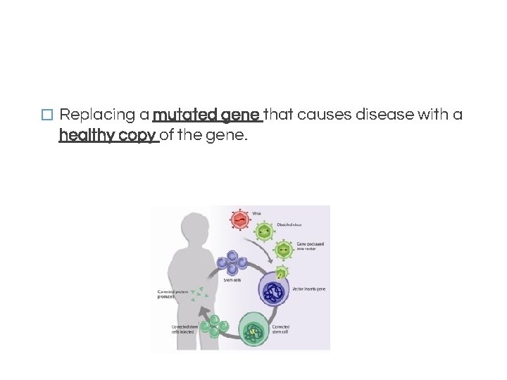 What is Gene Therapy Genes Specific sequence of