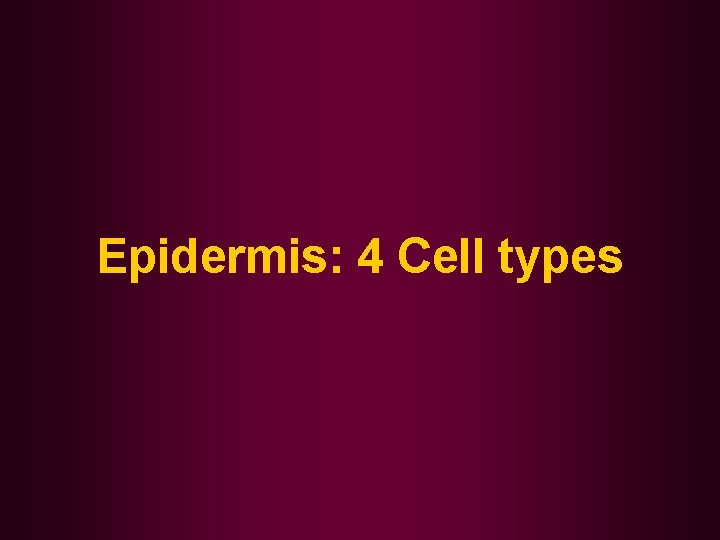Skin Body Membranes Chapter 4 FACTS ABOUT THE