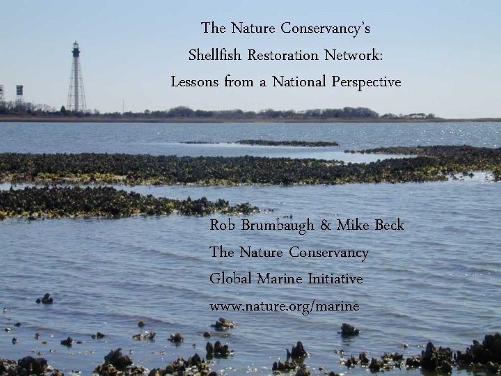 The Nature Conservancys Shellfish Restoration Network Lessons from