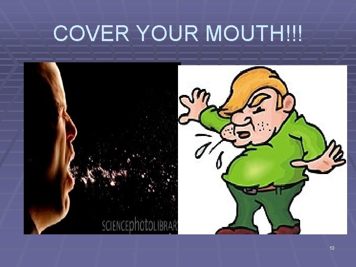 Chapter 19 Bacteria 1 I Bacteria A Classifying