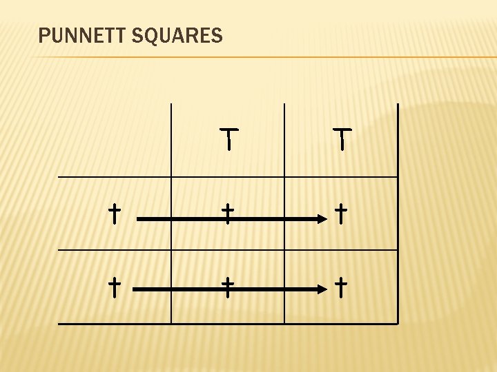 Predicting Genetic Outcomes PUNNETT SQUARES AND PROBABILITY PATTERNS