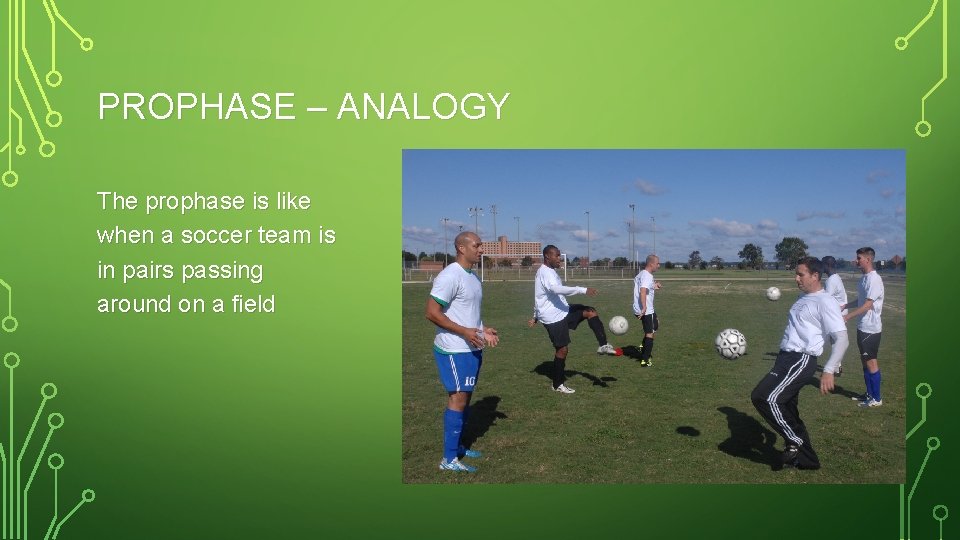 MITOSIS VISUAL ANALOGY PROJECT BRADEN PEARSON CLIFFORD BORETSKY