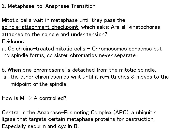 Mechanisms of Anaphase and Telophase Lecture 41 BSCI
