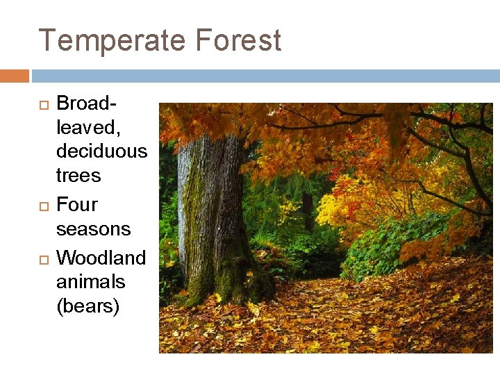 BIOMES AND AQUATIC ECOSYSTEMS Unit 4 The Biosphere