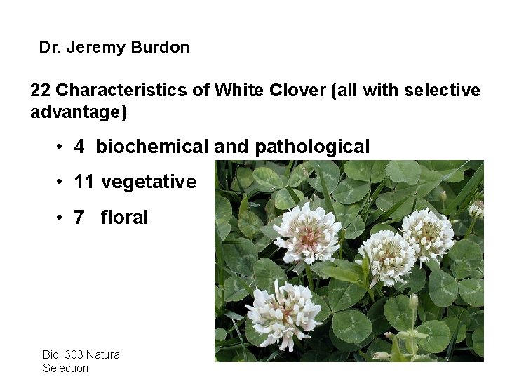 AN OVERVIEW OF NATURAL SELECTION Biol 303 Natural