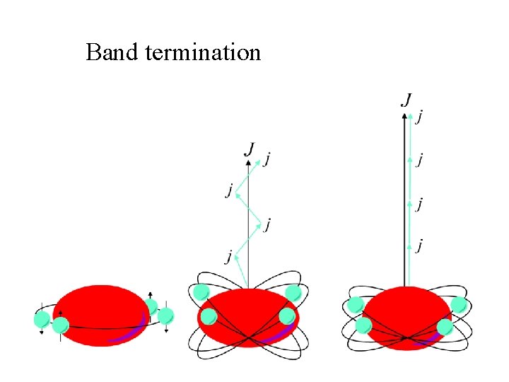 How do nuclei rotate 5 Appearance of bands