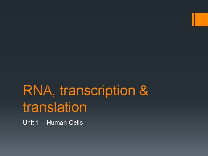 RNA transcription translation Unit 1 Human Cells ReCap