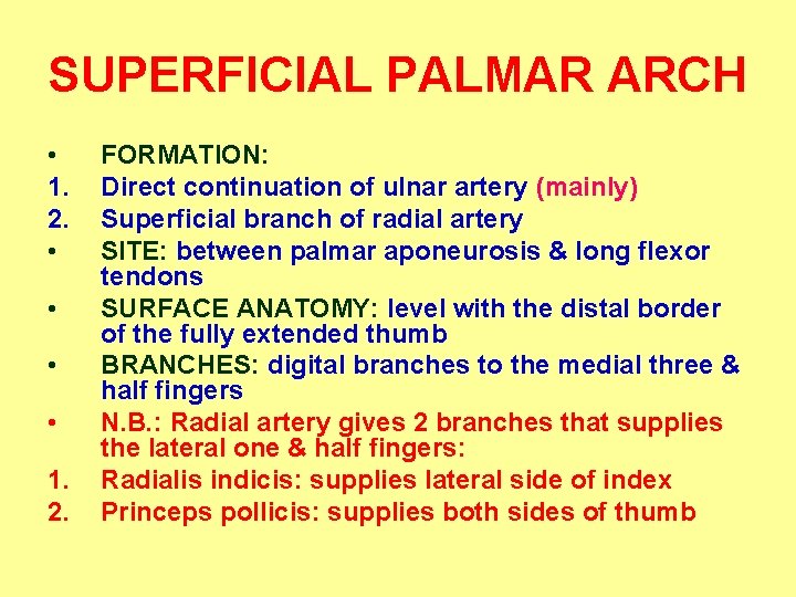 PALM ANATOMY BY Dr Mudasir Bangash SUPERFICIAL FASCIA