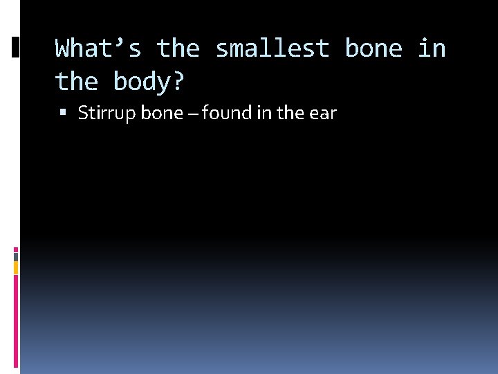 What would happen if humans didnt have bones