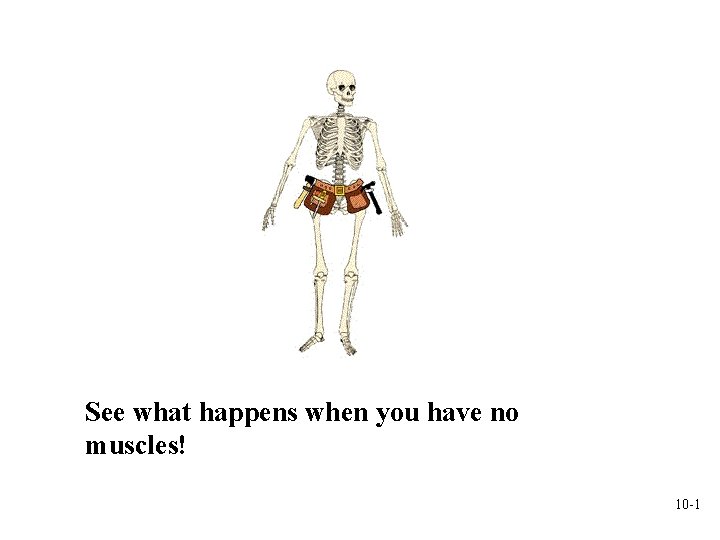 See what happens when you have no muscles