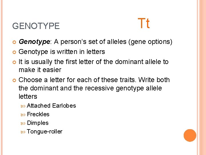 BASIC GENETICS TERMS Terms youve gotta know GENE