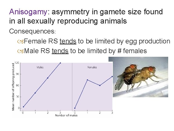 Animal migration How do animals orient Visual cues