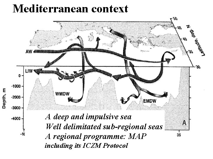 Integrated Coastal Area Management Downscaling the Mediterranean ICZM