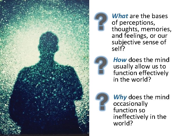 Introducing Psychology Second Edition Schacter Gilbert Wegner Psychology