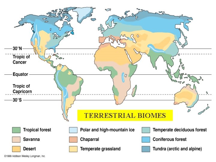 Unit 5 Ecology Part 1 INTRODUCTION TO ECOLOGY