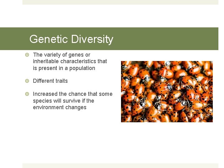 Biodiversity Variety of life in an area that