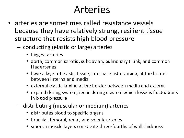 Blood Vessels Human Anatomy Physiology II Dr Rivera
