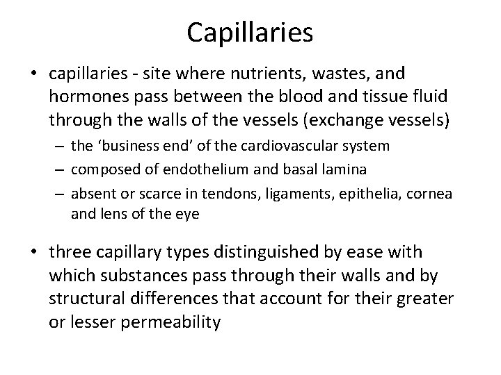 Blood Vessels Human Anatomy Physiology II Dr Rivera