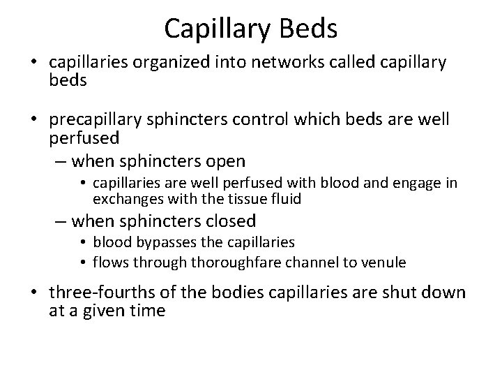Blood Vessels Human Anatomy Physiology II Dr Rivera