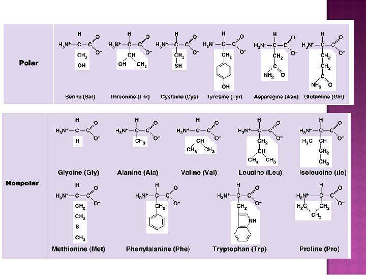 Dr Deon Bennett Structure 2 important structural proteins