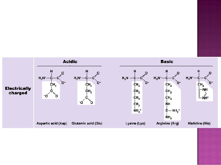 Dr Deon Bennett Structure 2 important structural proteins