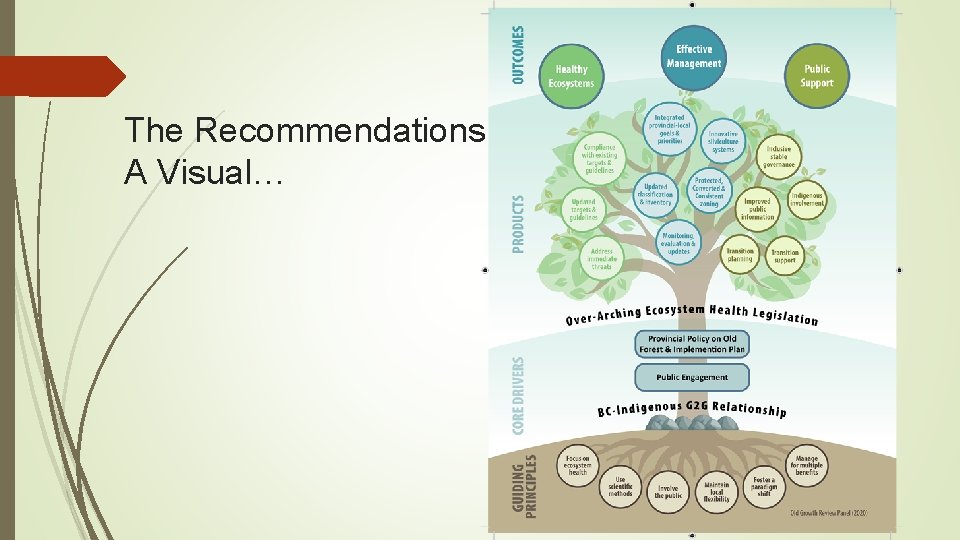 OG Review A Summary UBCIC AGM September 24