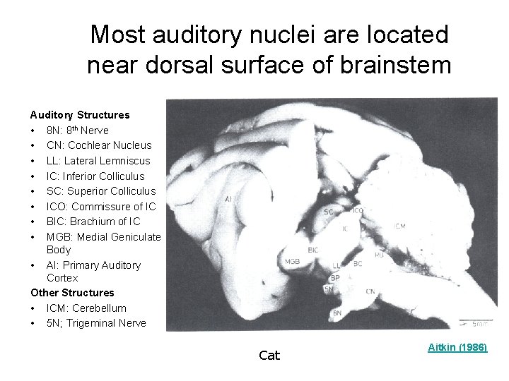 HST 722 9 044 Brain Mechanisms in Hearing