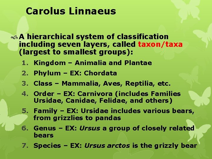 Classifying Beads Activity Assessing Prior Knowledge 1 What