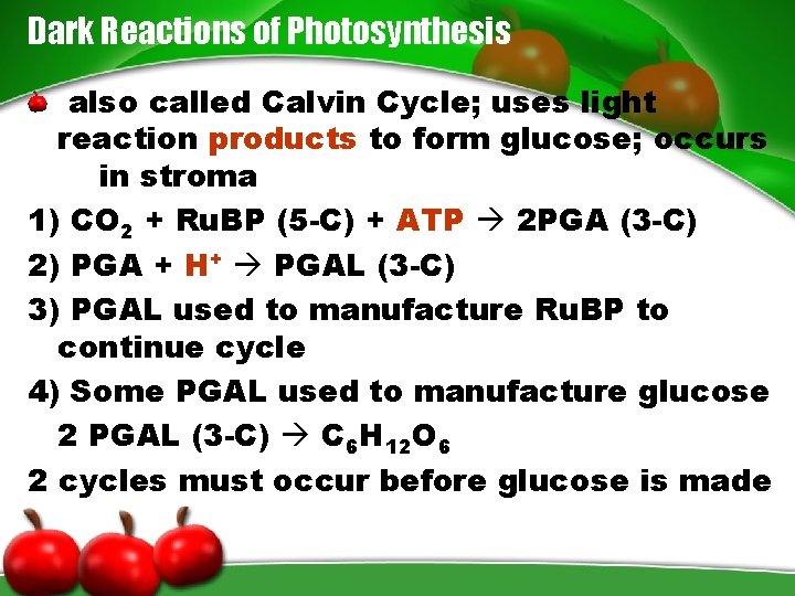 Photosynthesis Chapter 7 Overview of Photosynthesis chem rx
